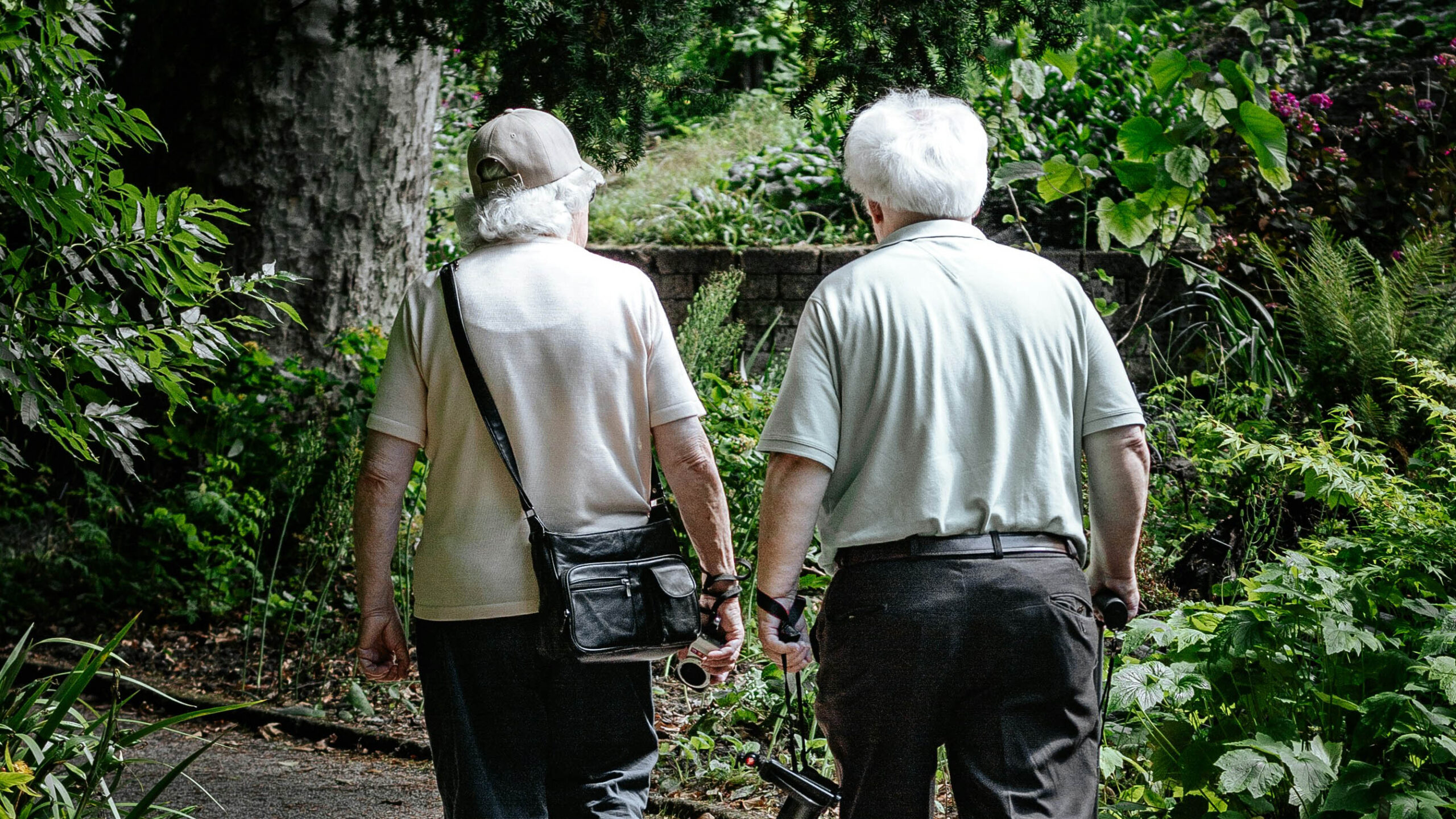 Finding opportunities in Singapore’s silver economy - EquitiesFirst