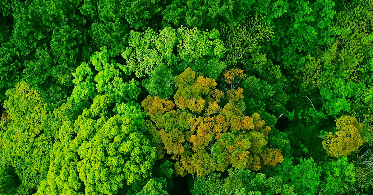 Progressive capital solutions tap into the future of sustainable ...